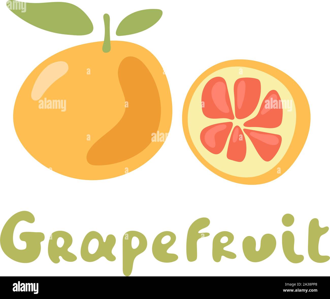 Grapefruit. A whole grapefruit and a cut. Vector stock illustration Stock Vector Image & Art - Alamy