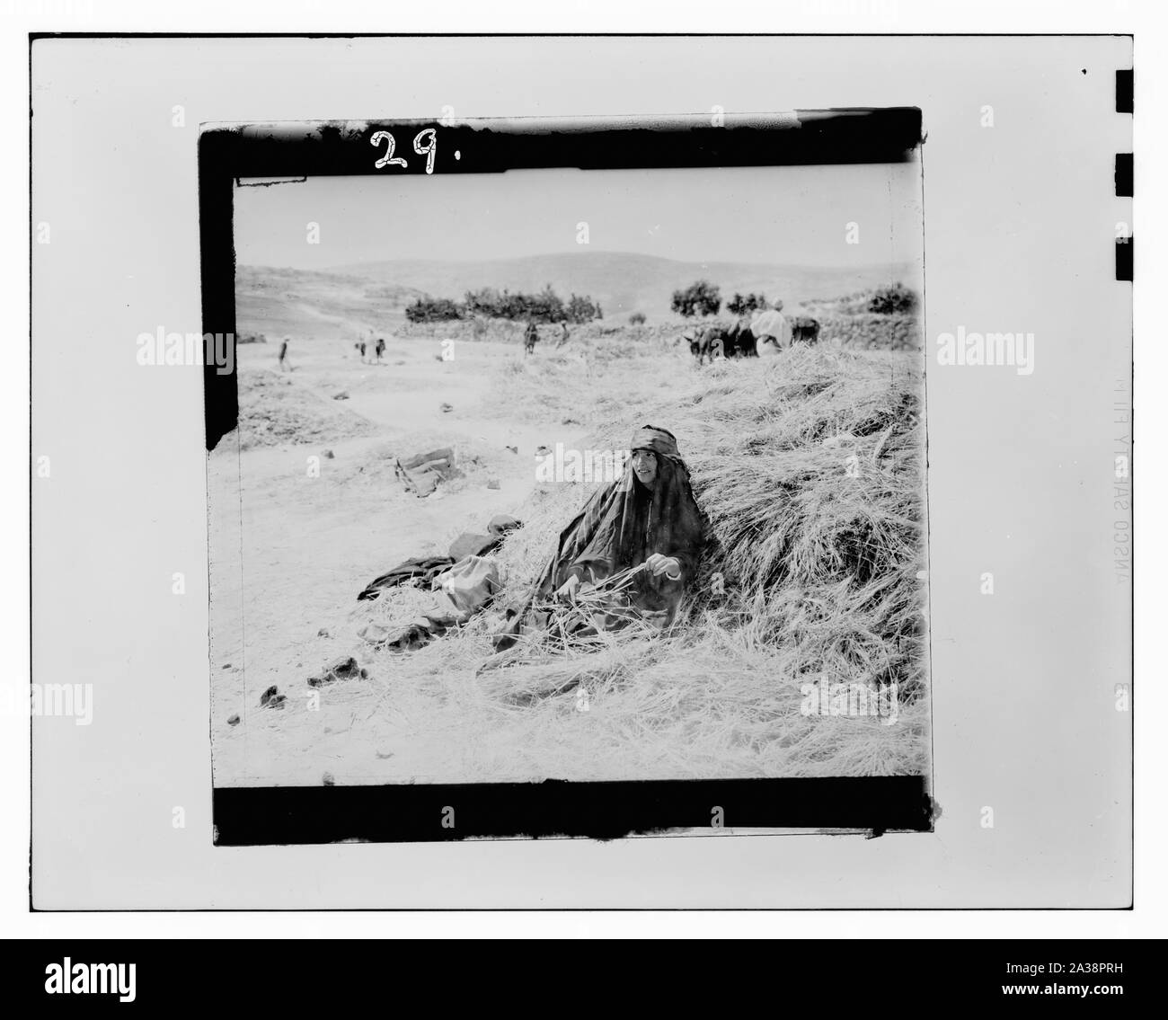 Ruth the Moabitess (and others Stock Photo - Alamy