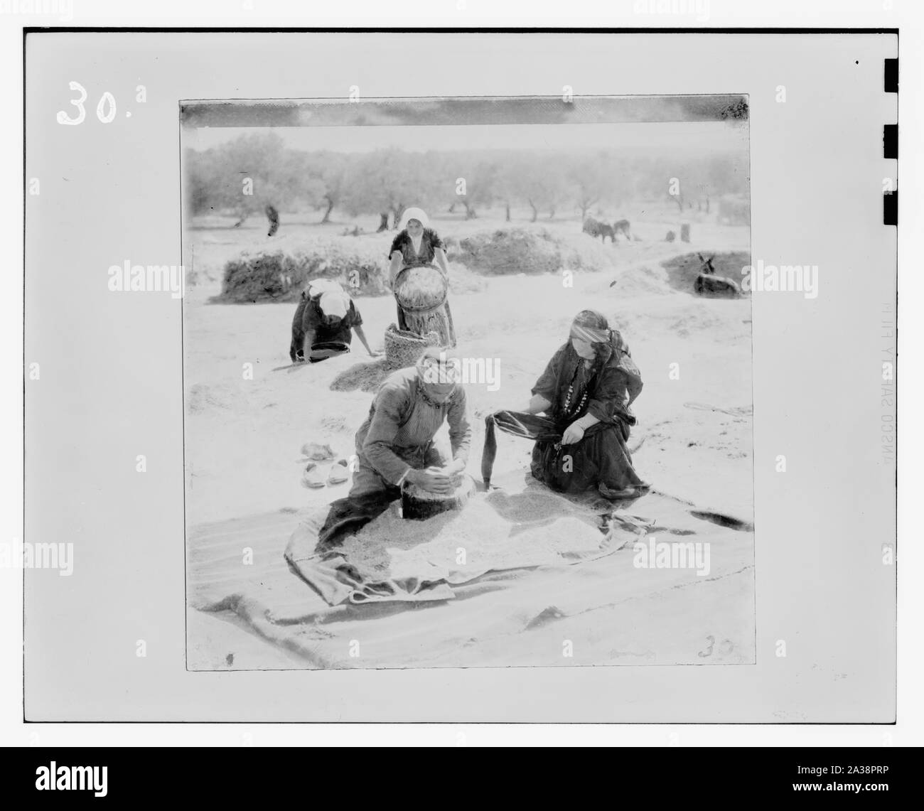 Persevering Cut Out Stock Images & Pictures - Alamy