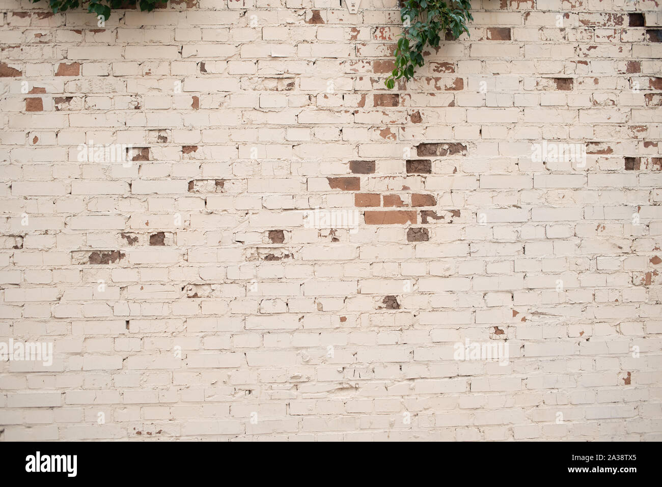 Background foBrick texture with soft lightr designers antique brick ...