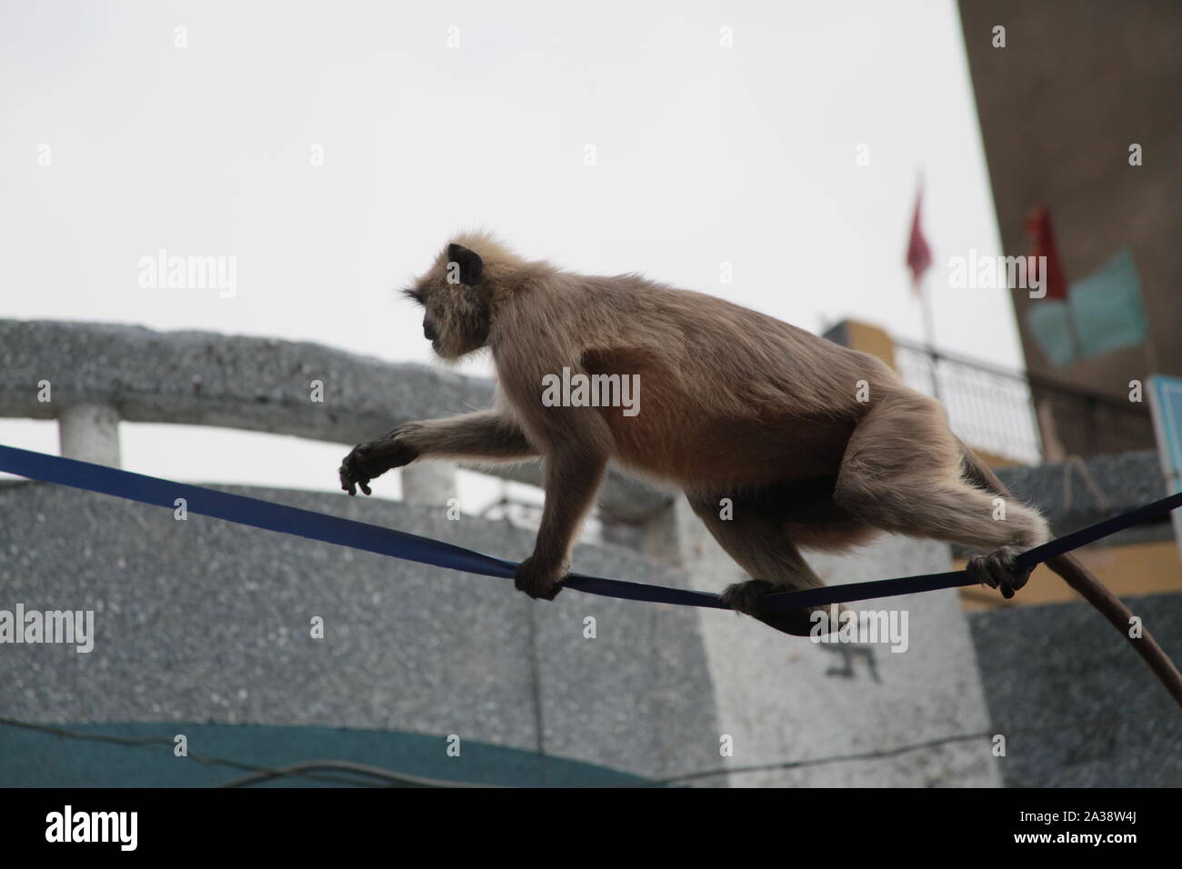 Vibrant cable design hi-res stock photography and images - Alamy