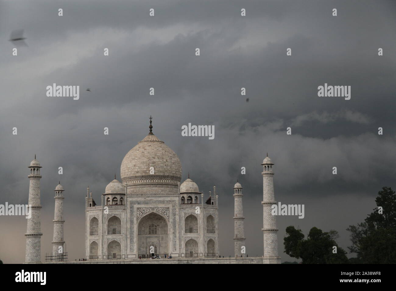 TAJ MAHAL, INDIA, ASIA Stock Photo - Alamy