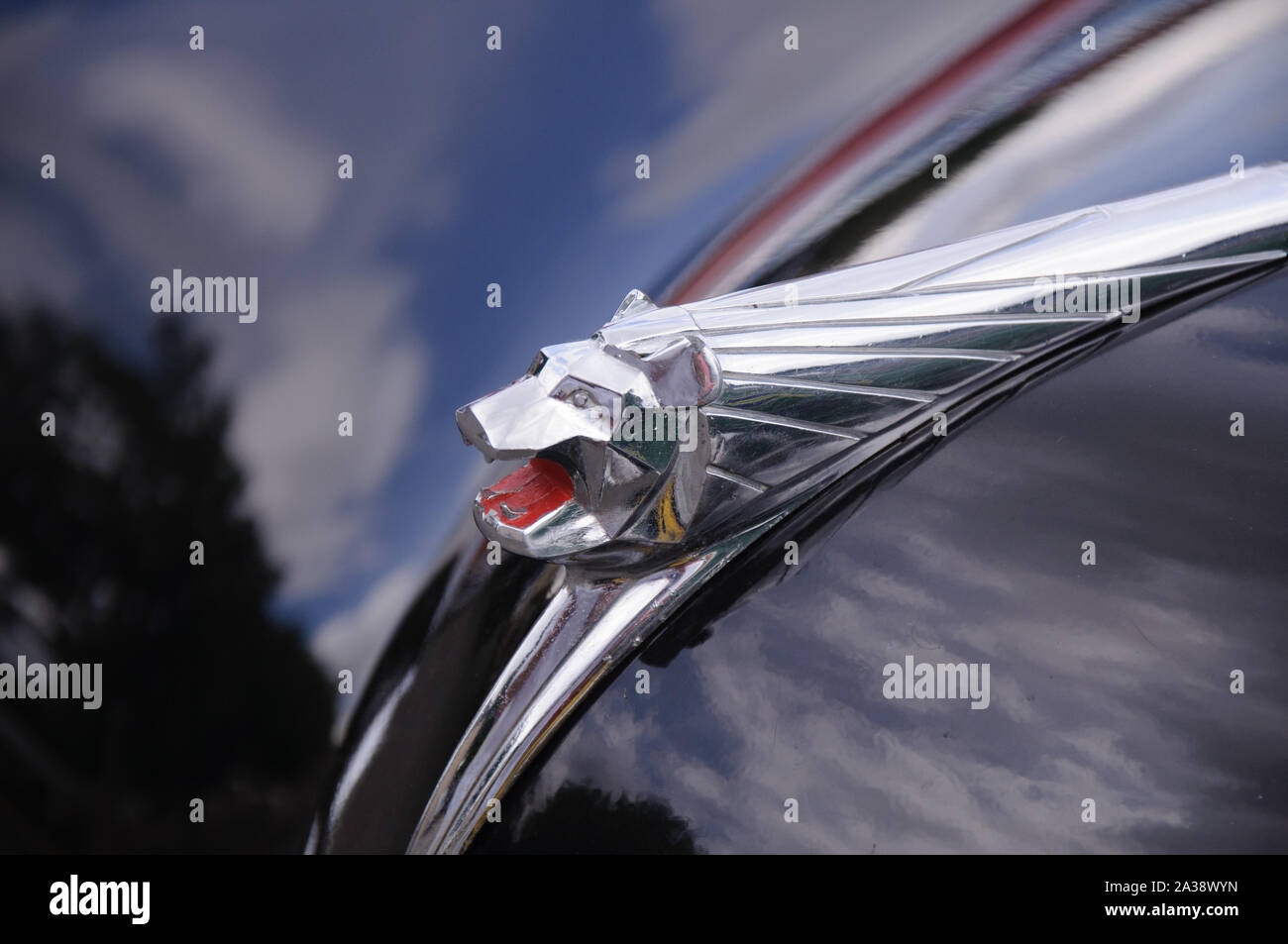 Peugeot 203C Saloon Classic French Car Stock Photo - Alamy
