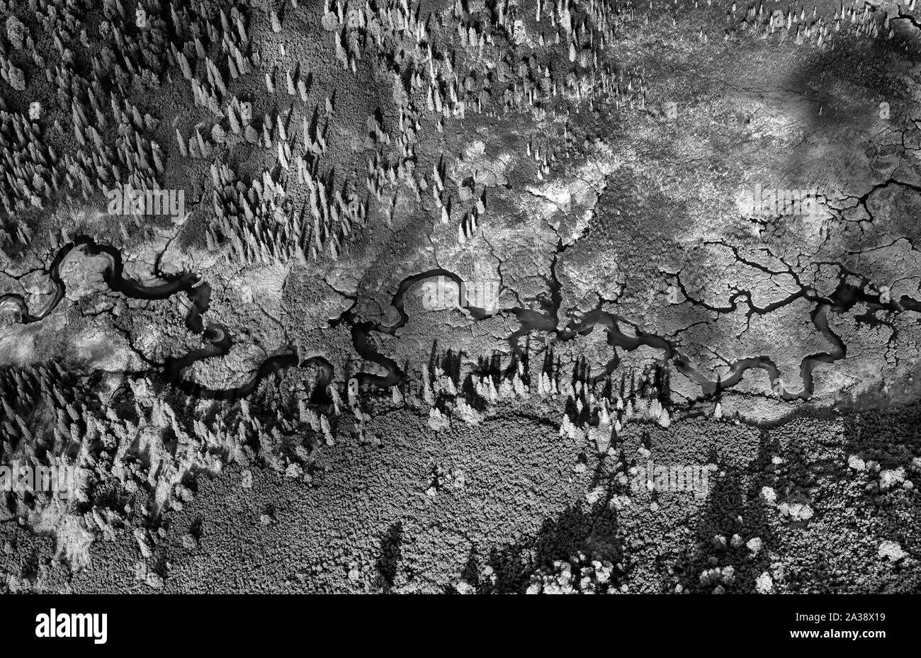 Black and white image of a river winding through the green dwarf forest ...