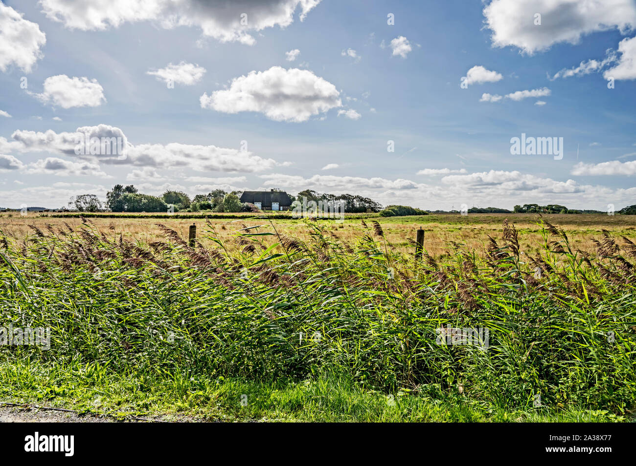 Landscape in Northern Germany near the house of the painter Emil Nolde ...