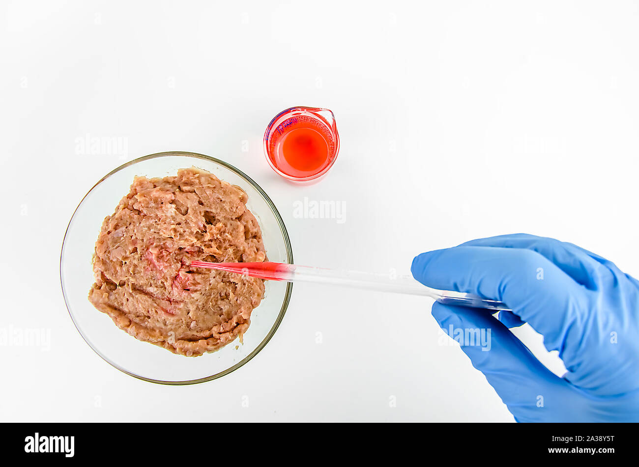 meat on a white background. experiments, chemistry, artificial ...