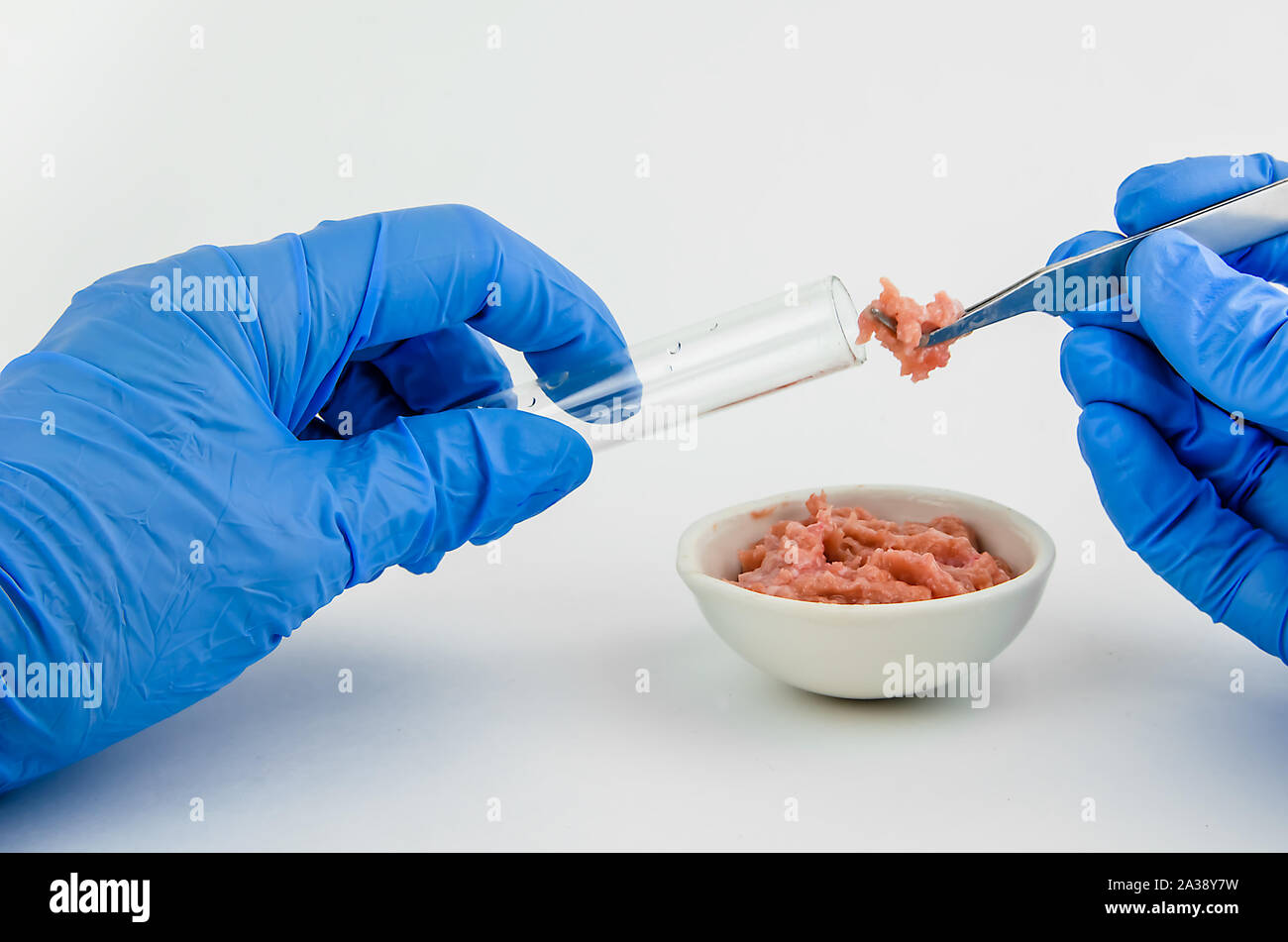 meat on a white background. experiments, chemistry, artificial ...
