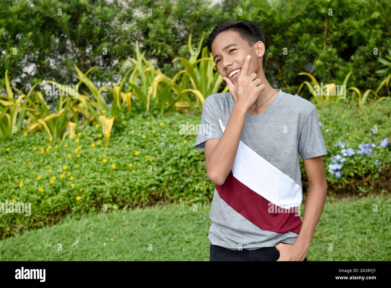 Male analyze hi-res stock photography and images - Alamy