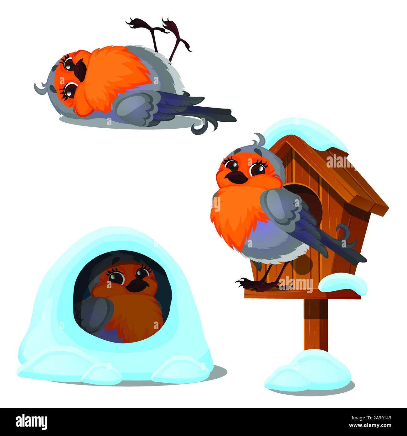 Cute bird sits in a wooden birdhouse isolated on a white background ...