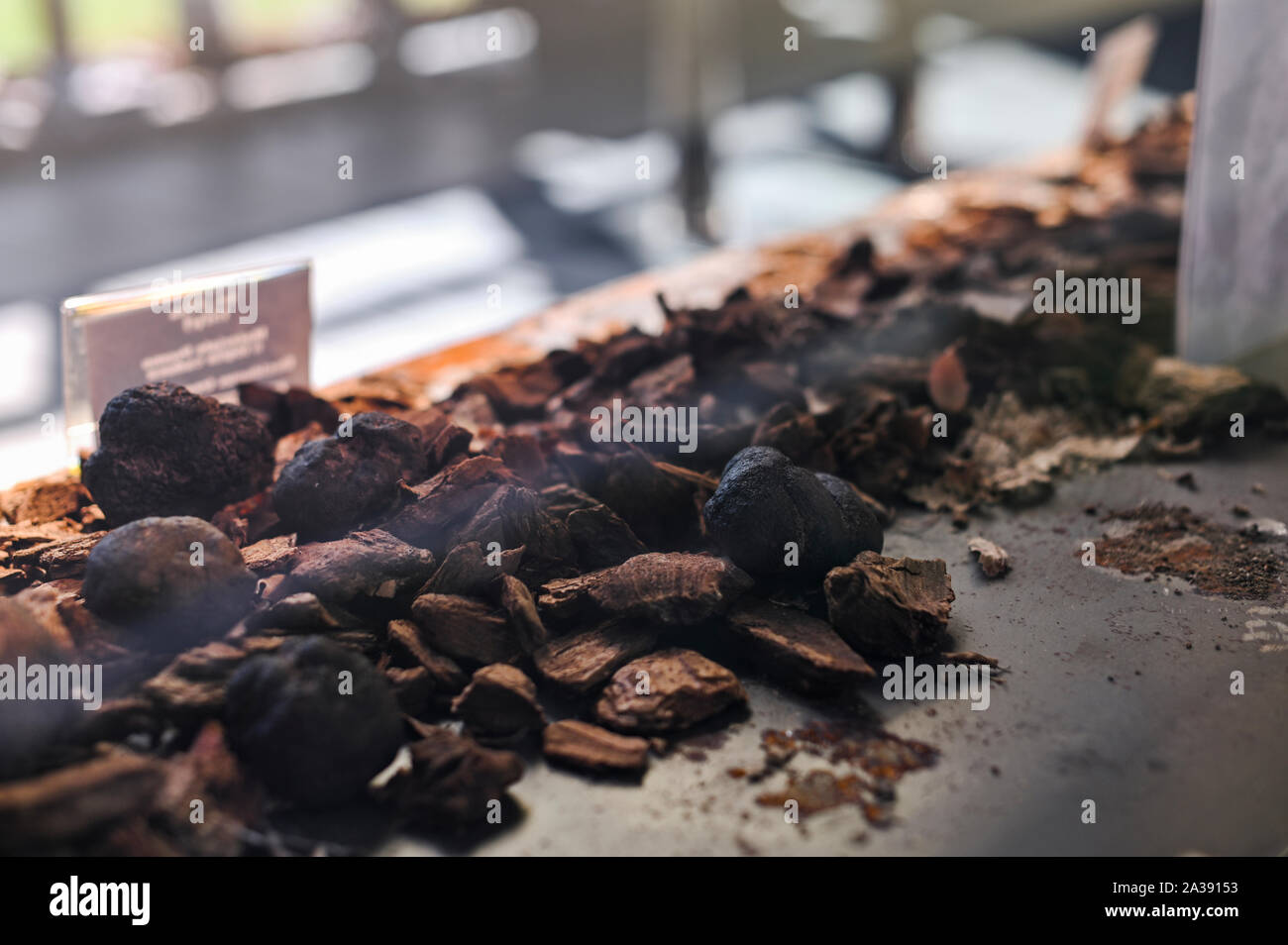 expensive rare black truffle mushroom - gourmet vegetable. Luxury food ...