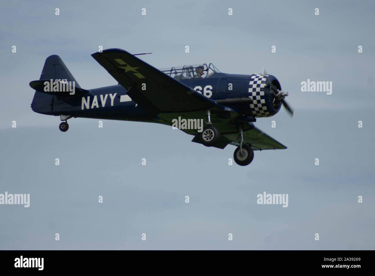 North american snj 5 texan hi-res stock photography and images - Alamy
