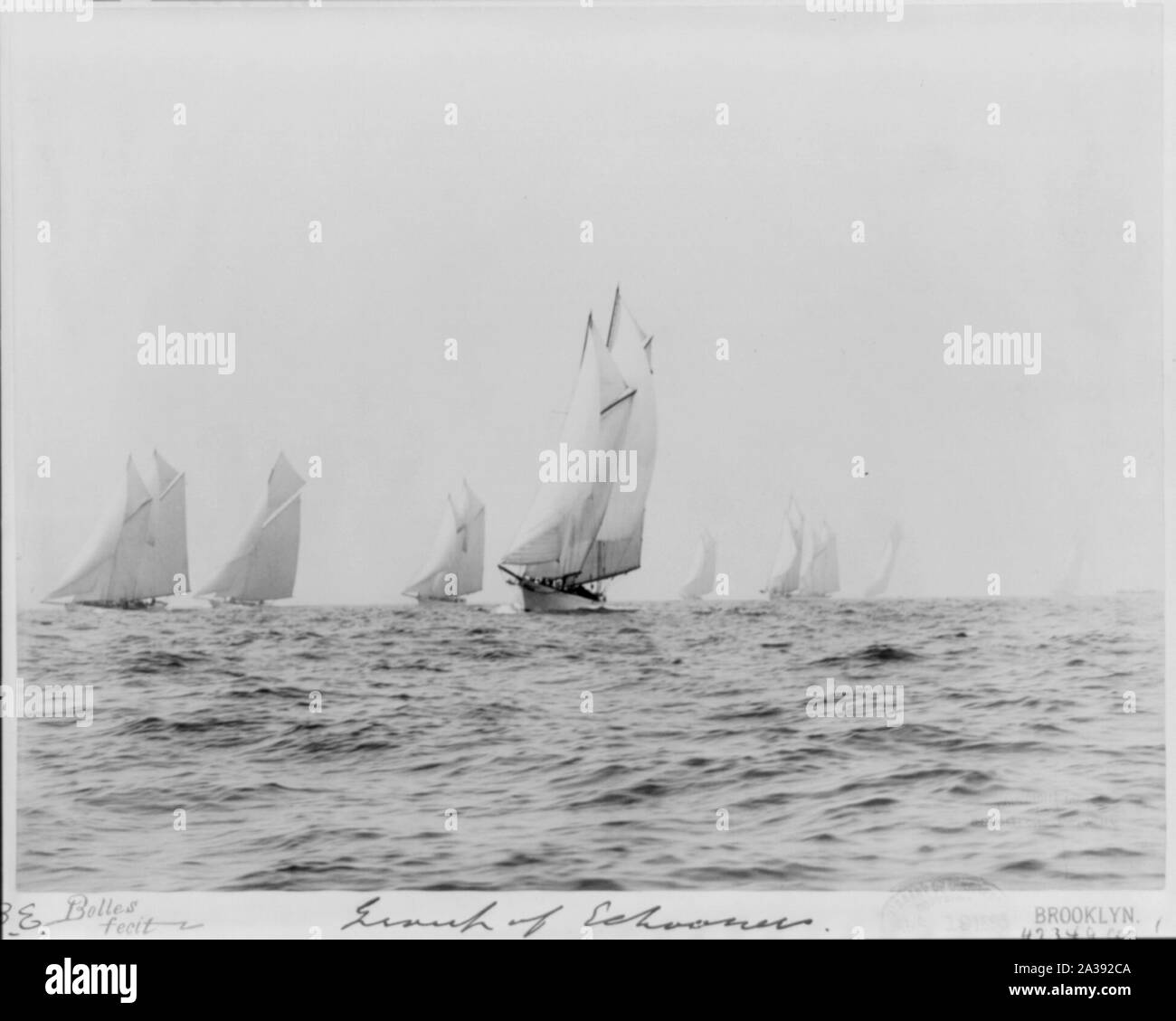 Sailboats sailing]: Group of schooners Stock Photo - Alamy