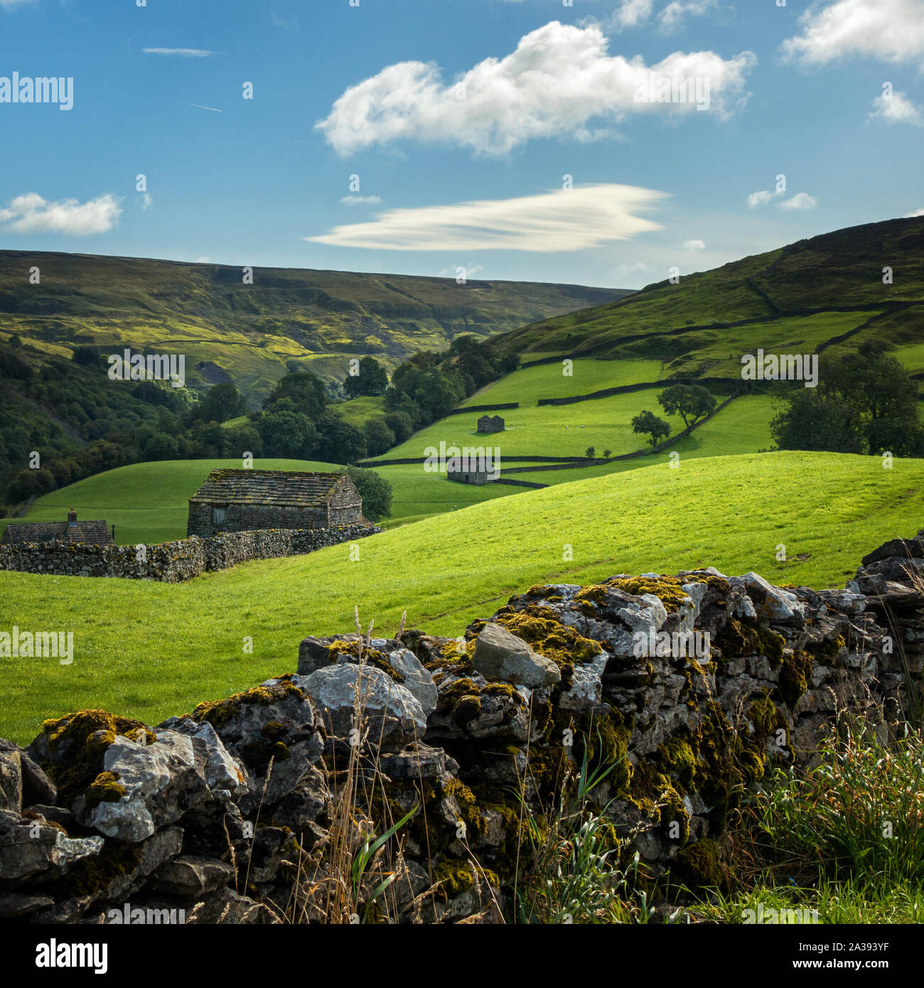 The stunning landscape of Swaledale in beautiful light with picturesque ...