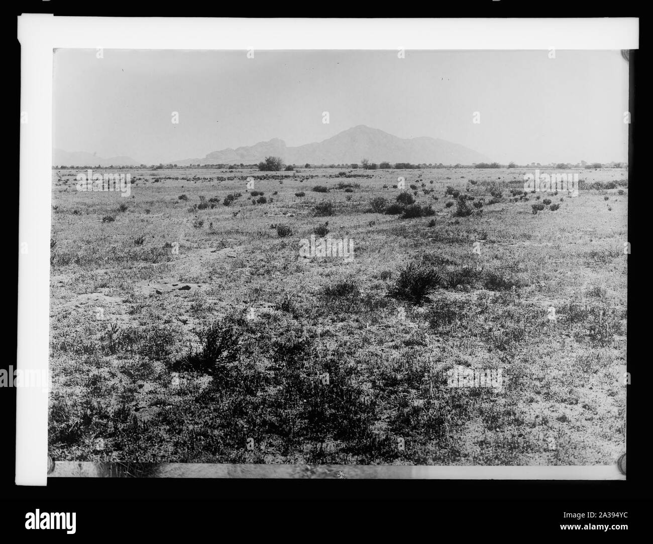 Salt River Project Arizona; desert before cultivation; Camel Back ...