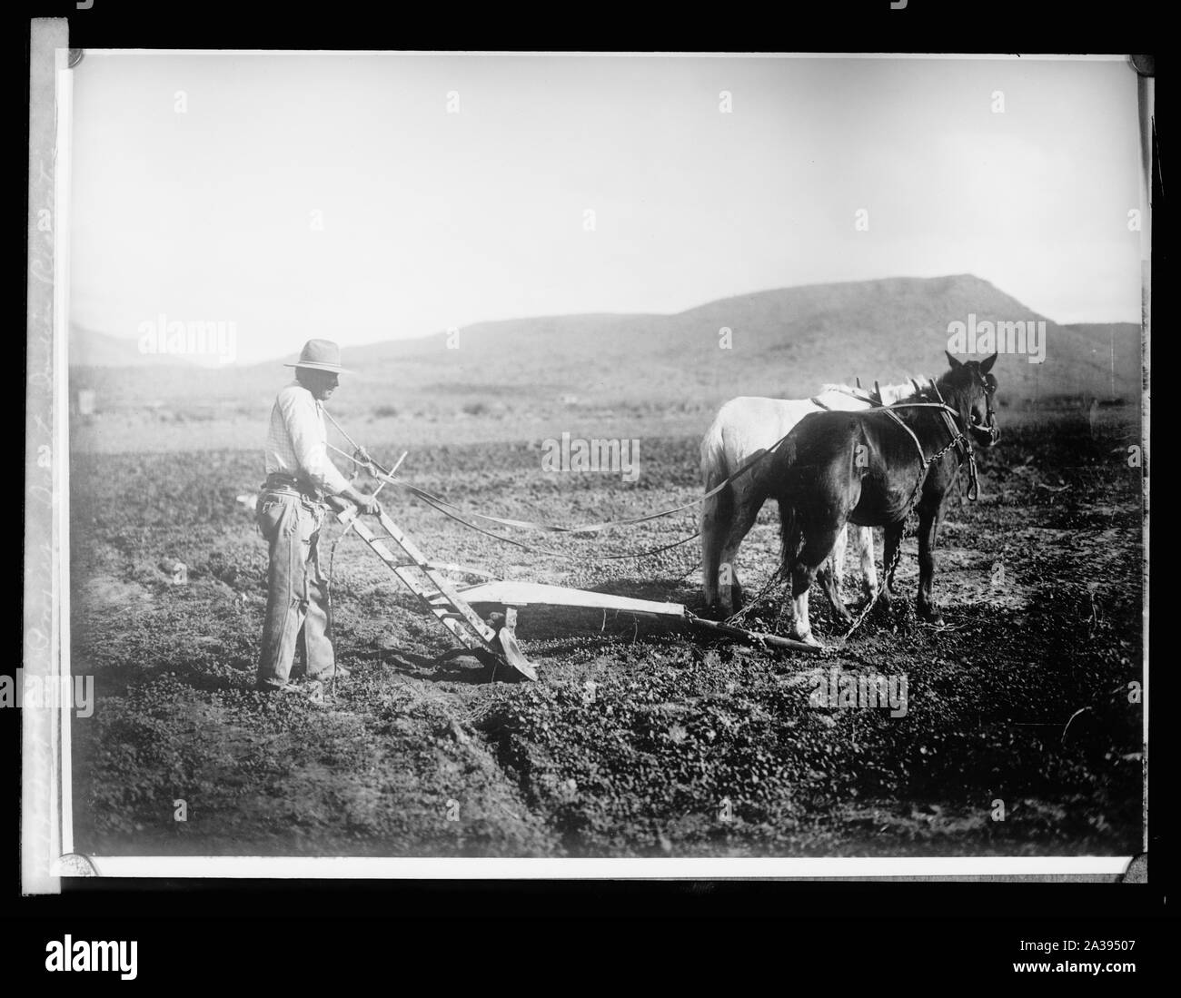 Salt river indian reservation hi-res stock photography and images - Alamy