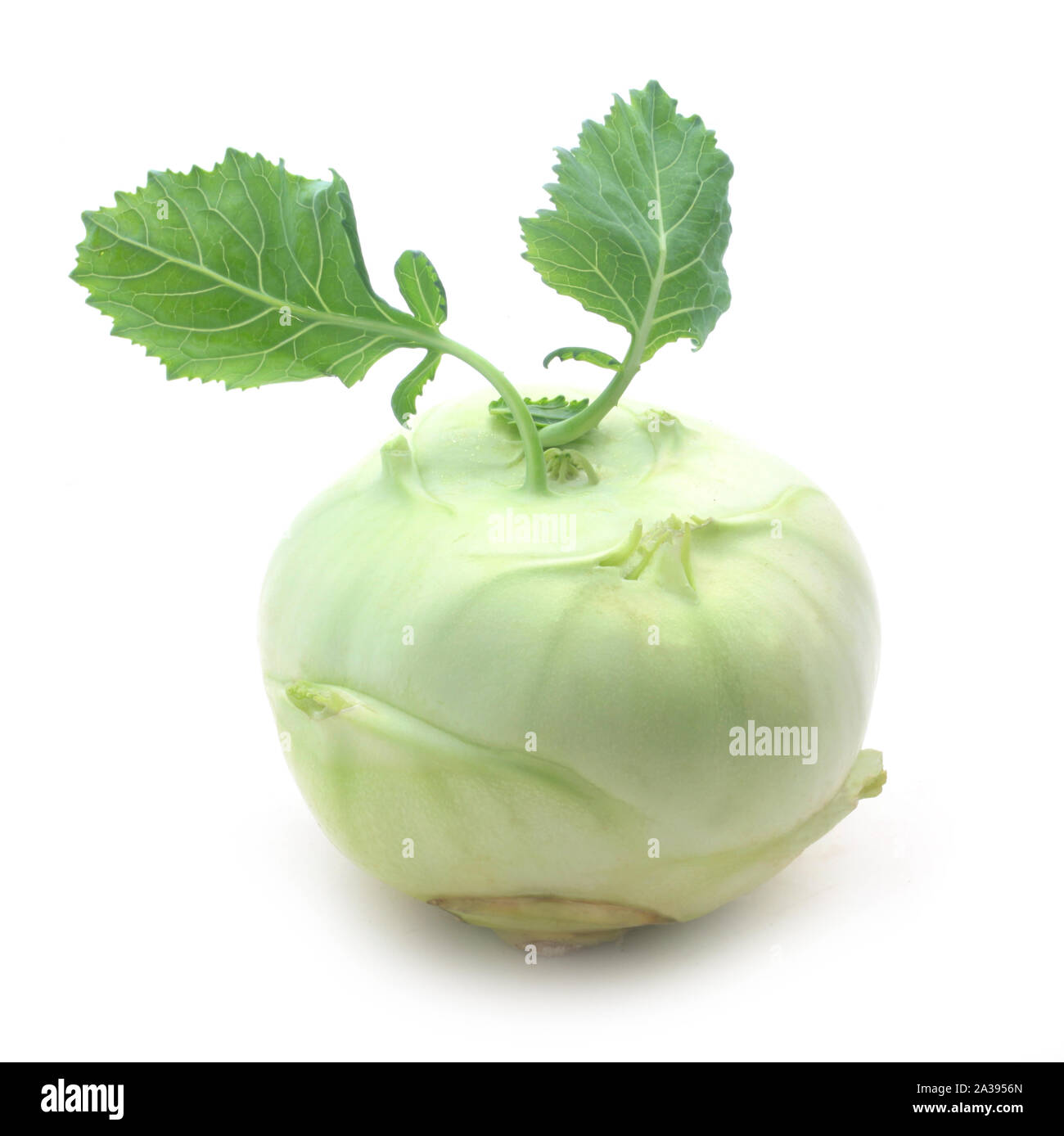 Raw Whole Kohlrabi Isolated On White Stock Photo - Alamy