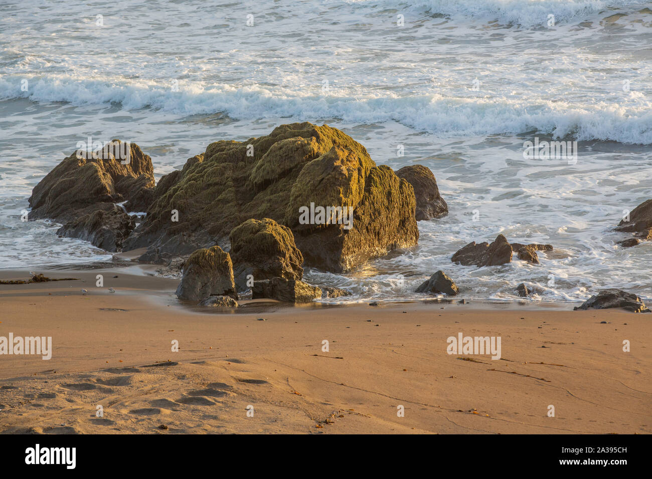 Rocks on beach Stock Photo - Alamy