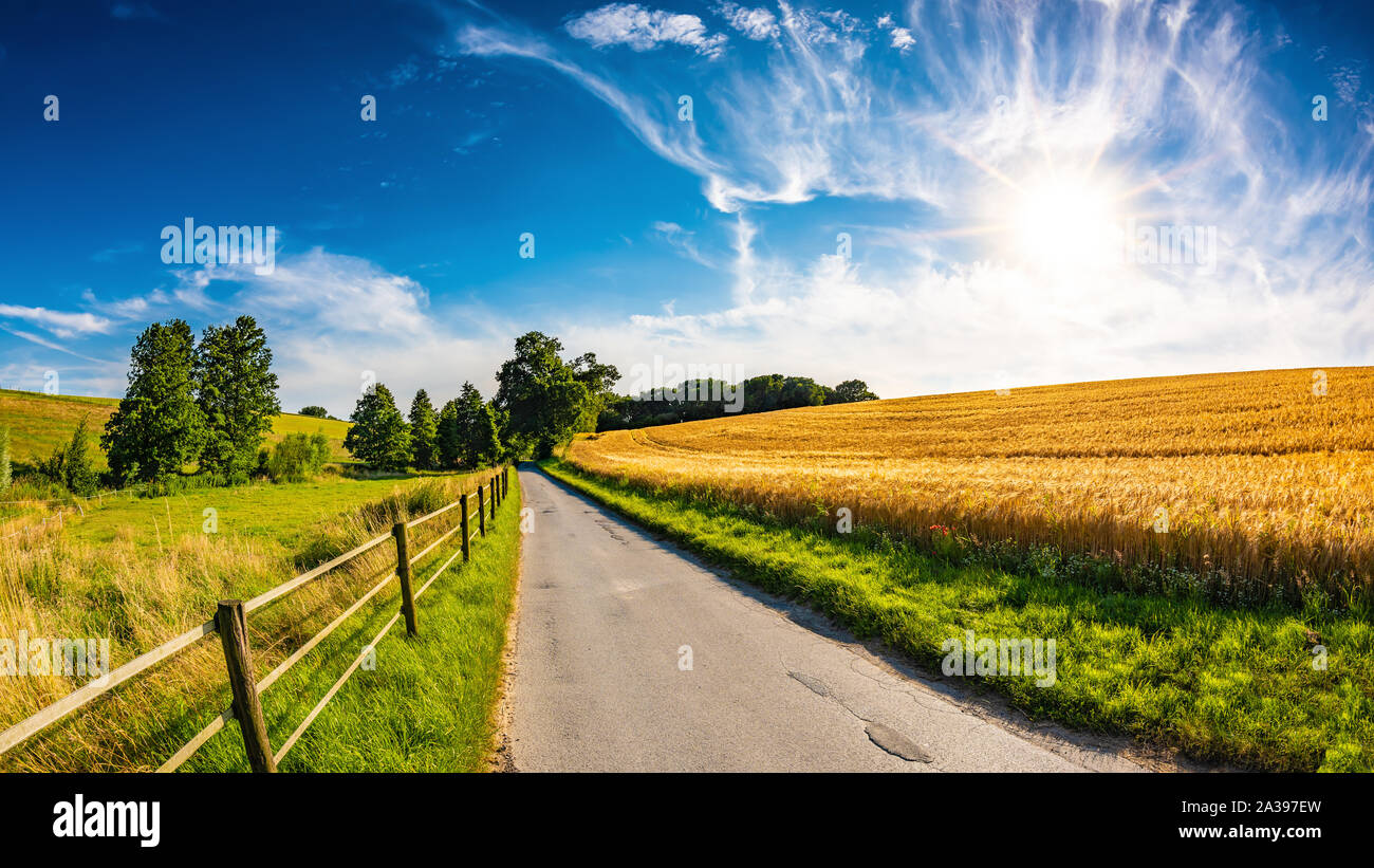 Landscape in summer with bright sun and golden cornfield Stock Photo ...