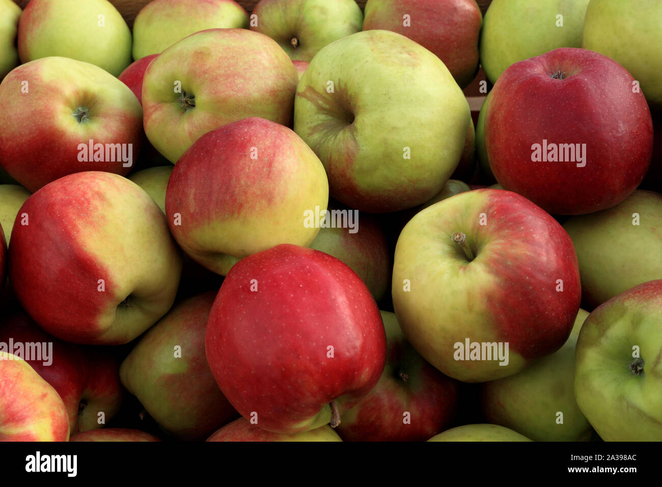 Apple 'Crown Gold', apples, eaters, eating apples, healthy eating ...