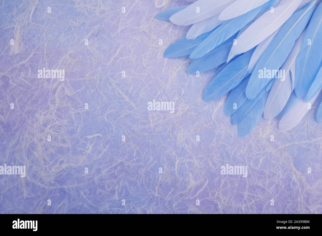 Angel Healing. Feather in the right corner on multi colored background ...