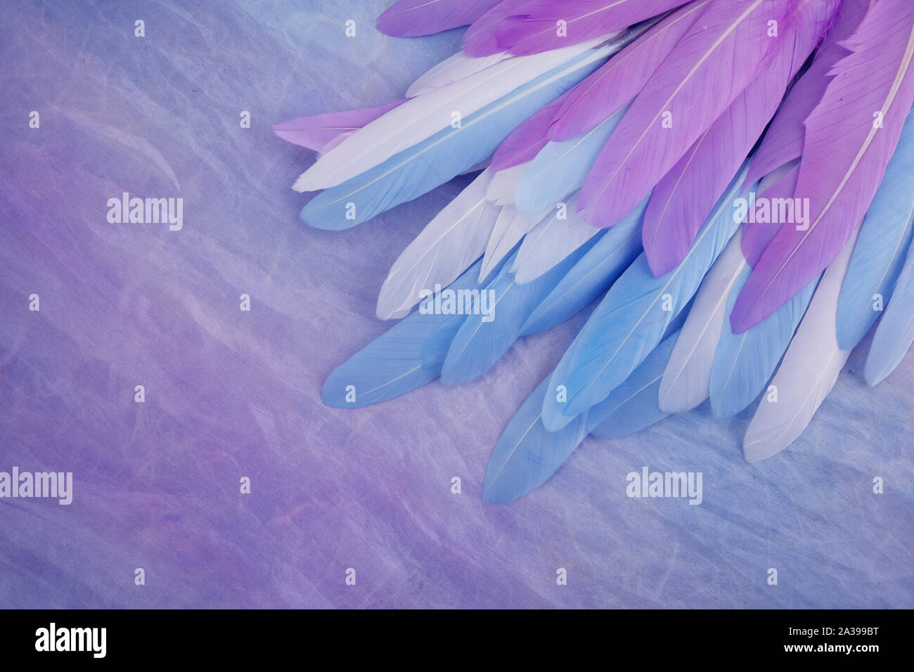 Angel Healing. Feather in the right corner on multi colored background ...