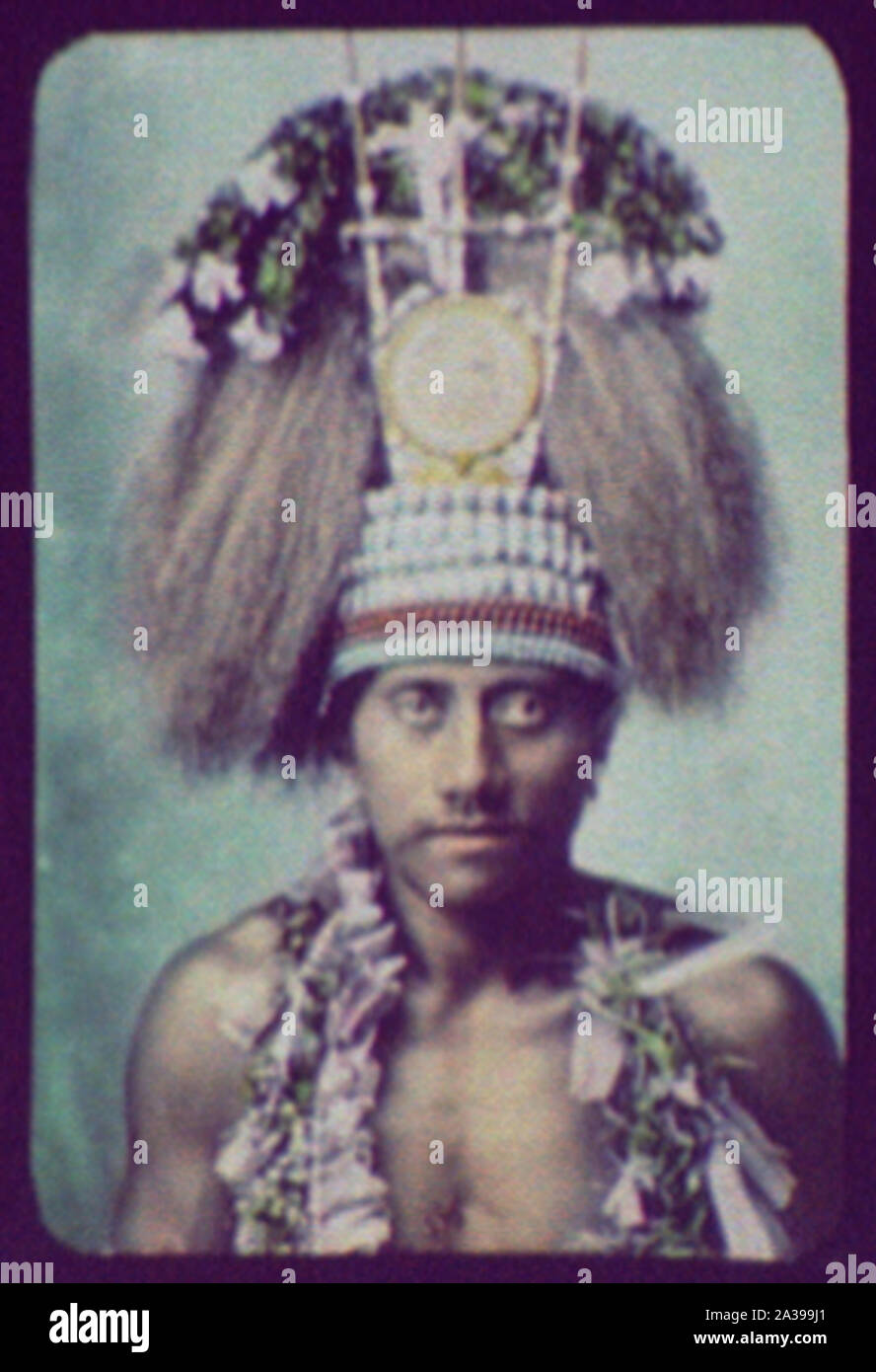 Samoan Chief - head and shoulders, wearing ceremonial headdress Stock ...