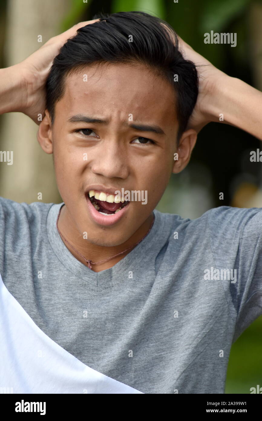 An A Stressed Male Juvenile Stock Photo - Alamy