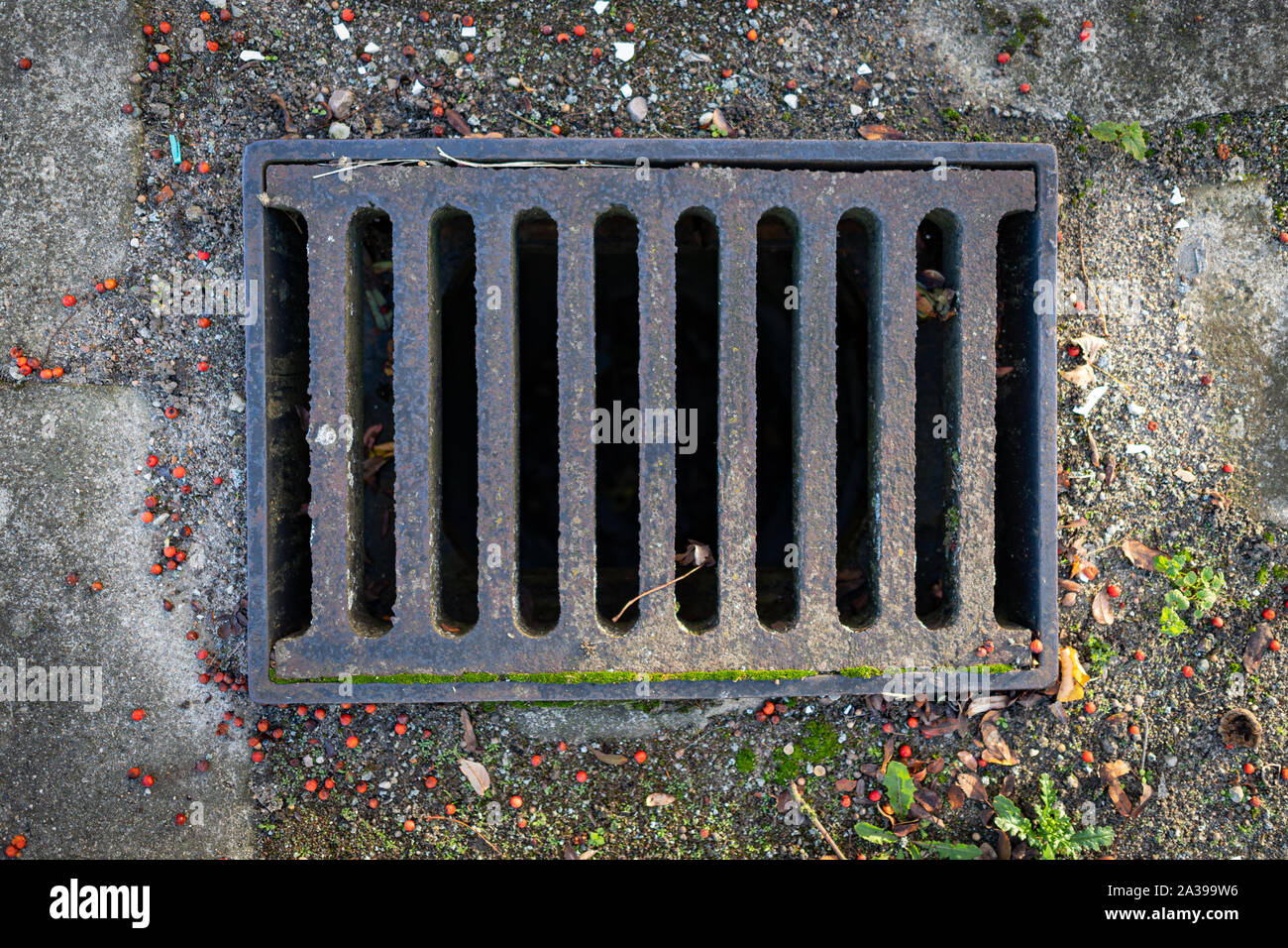 Cast iron storm drain grate hi-res stock photography and images - Alamy