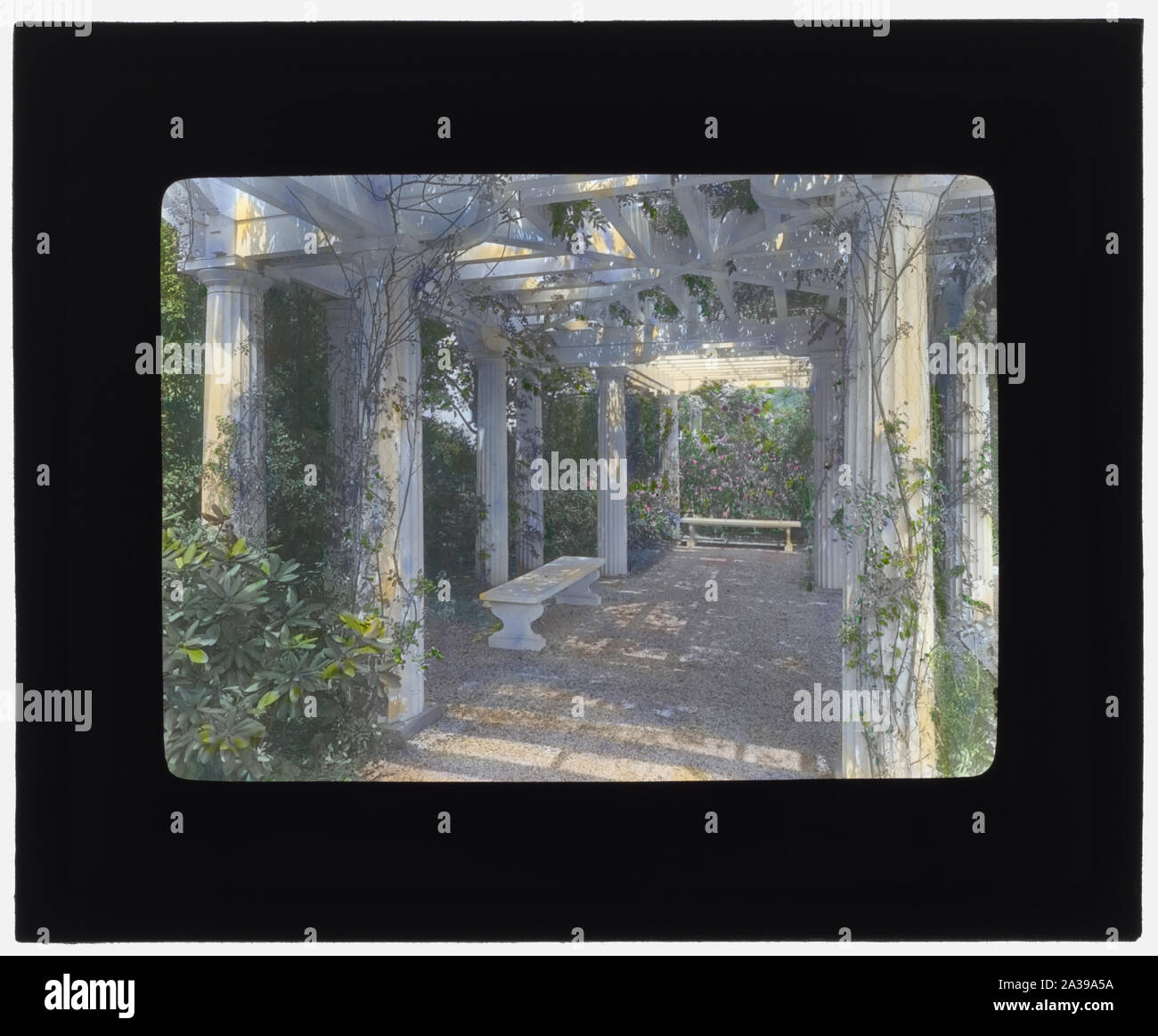 Samuel knopf house hi-res stock photography and images - Alamy