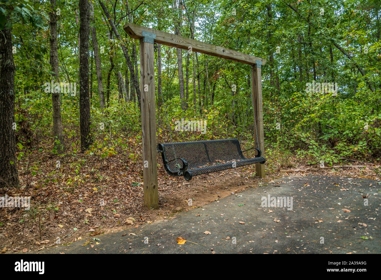 Side view of a swinging park bench on the trails in the woodlands ...