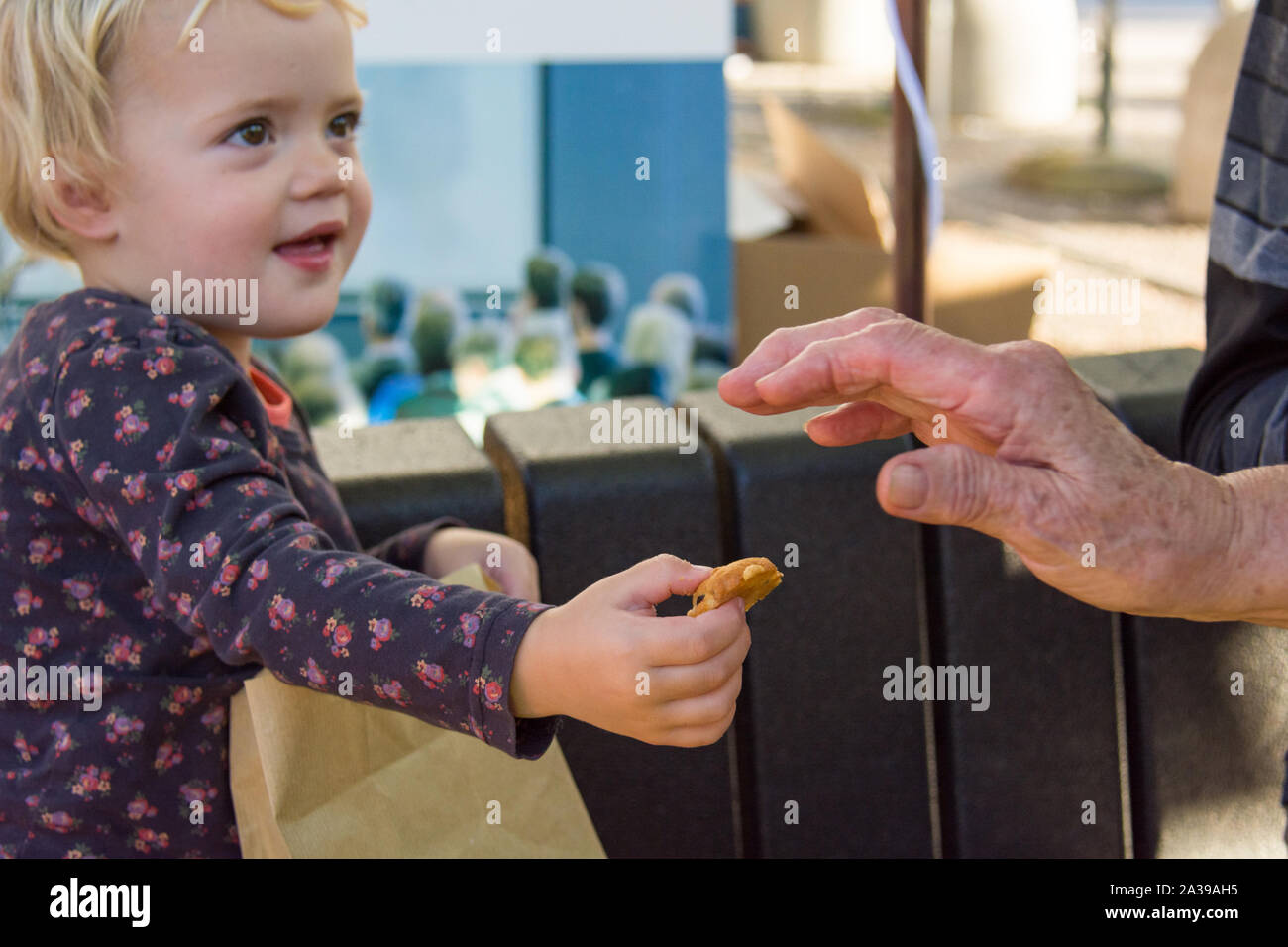 Adorable girl giving cookie to her grandmother. Contrast between young ...