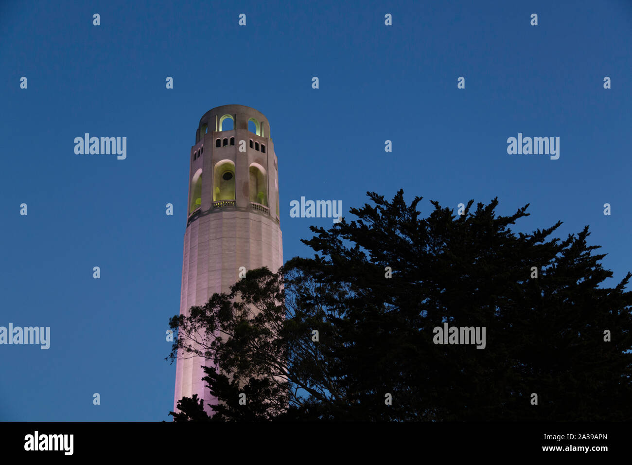 Coit Tower History High Resolution Stock Photography and Images - Alamy
