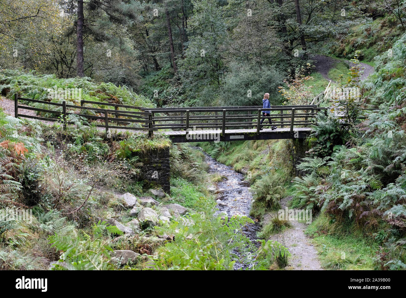 Ogden Water nature reserve, Halifax, UK Stock Photo - Alamy