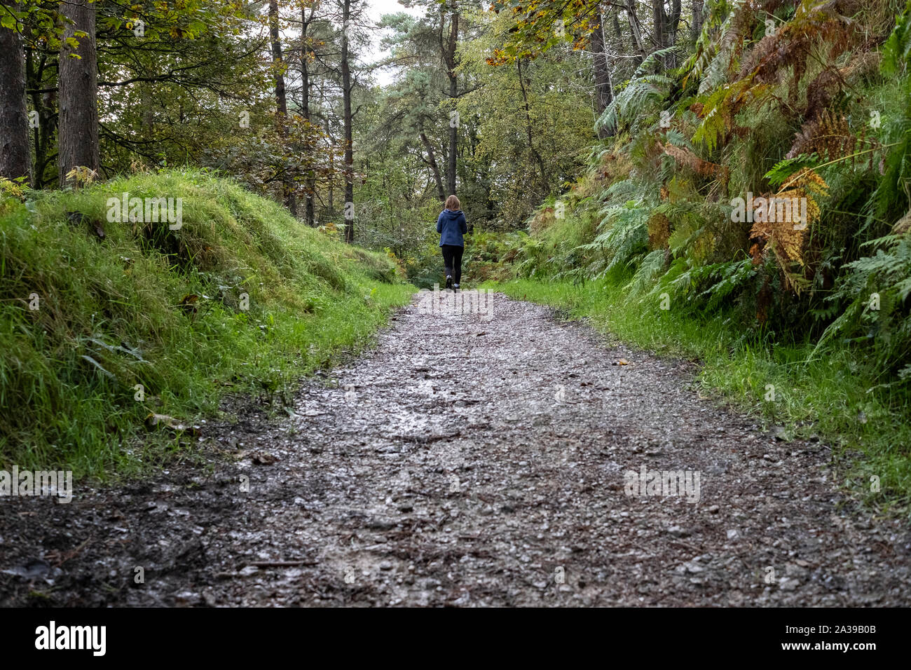 Ogden Water nature reserve, Halifax, UK Stock Photo - Alamy