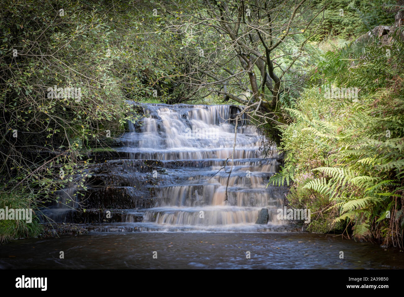 Ogden Water nature reserve, Halifax, UK Stock Photo - Alamy