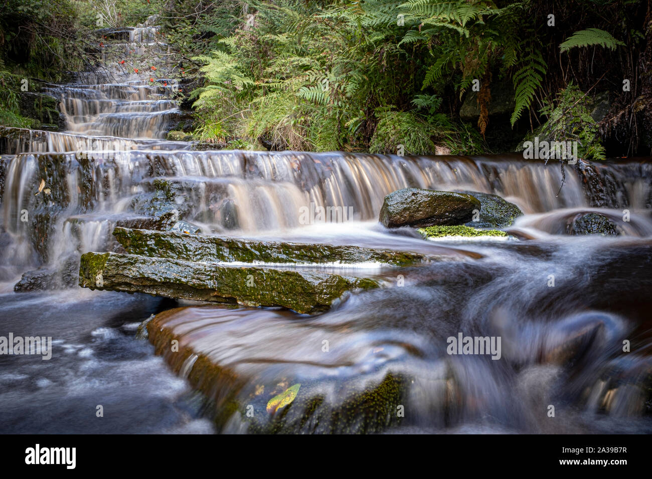 Ogden Water nature reserve, Halifax, UK Stock Photo - Alamy