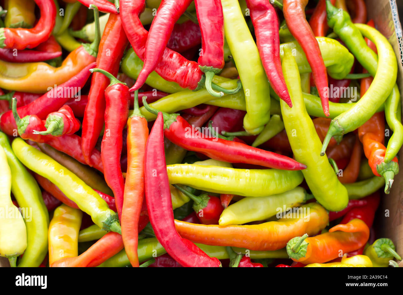 Sweet pepper in a box hi-res stock photography and images - Alamy