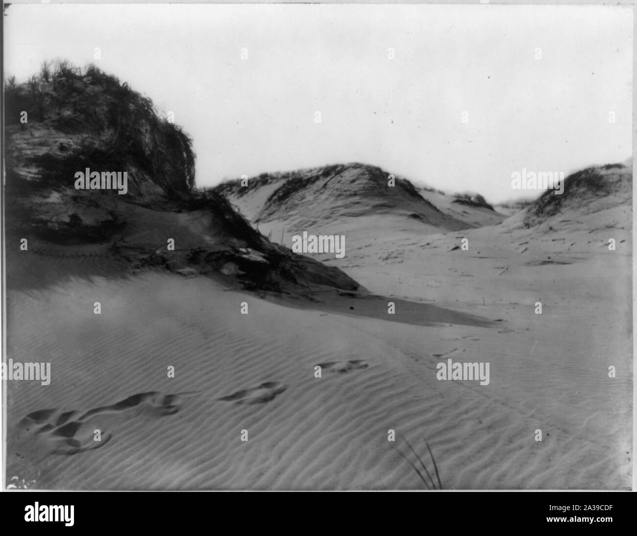 Sand beach landscape Black and White Stock Photos & Images - Alamy