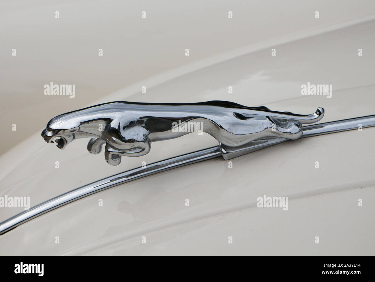 Jaguar car mascot Stock Photo - Alamy