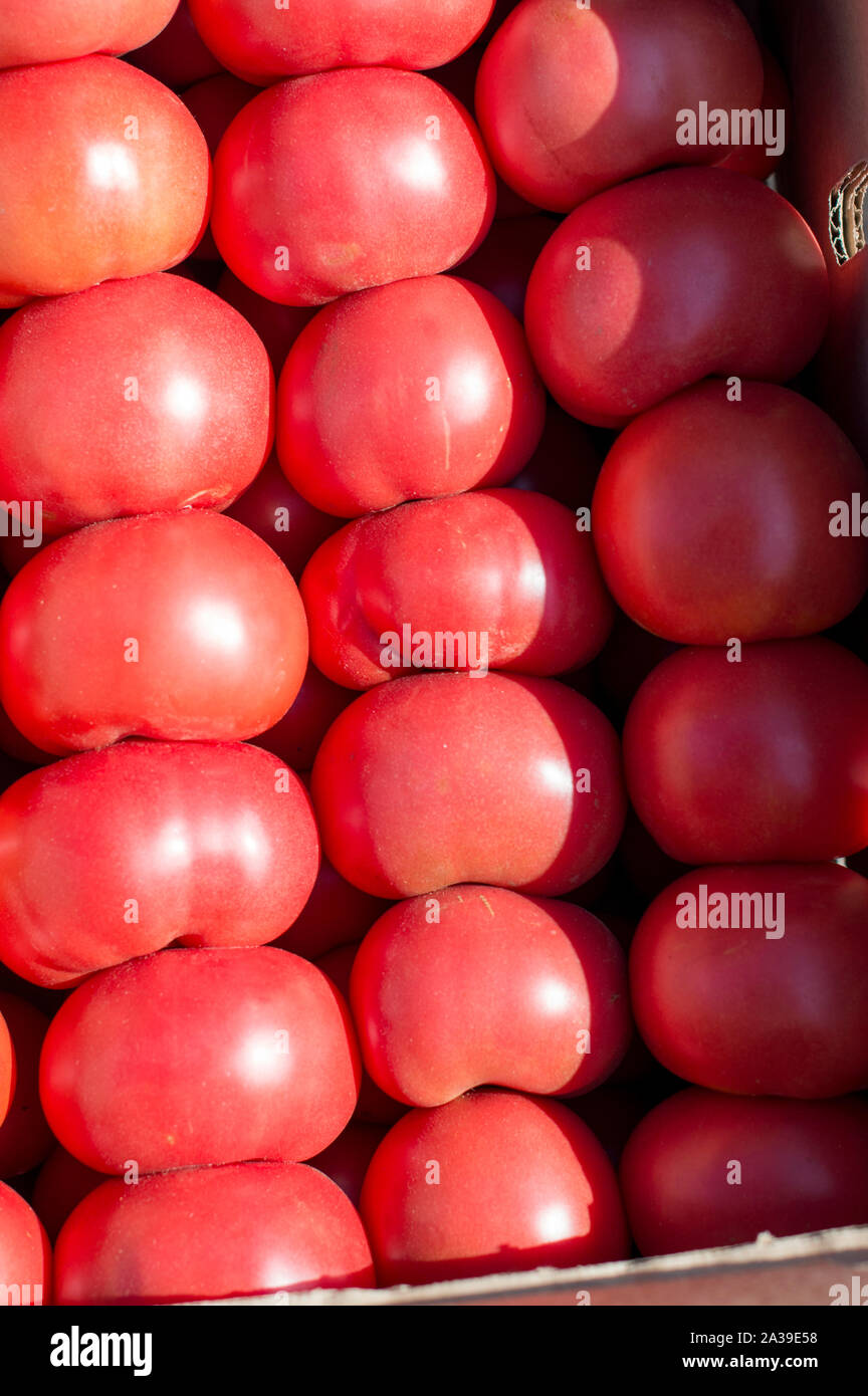 Vegetables in green boxes hi-res stock photography and images - Alamy