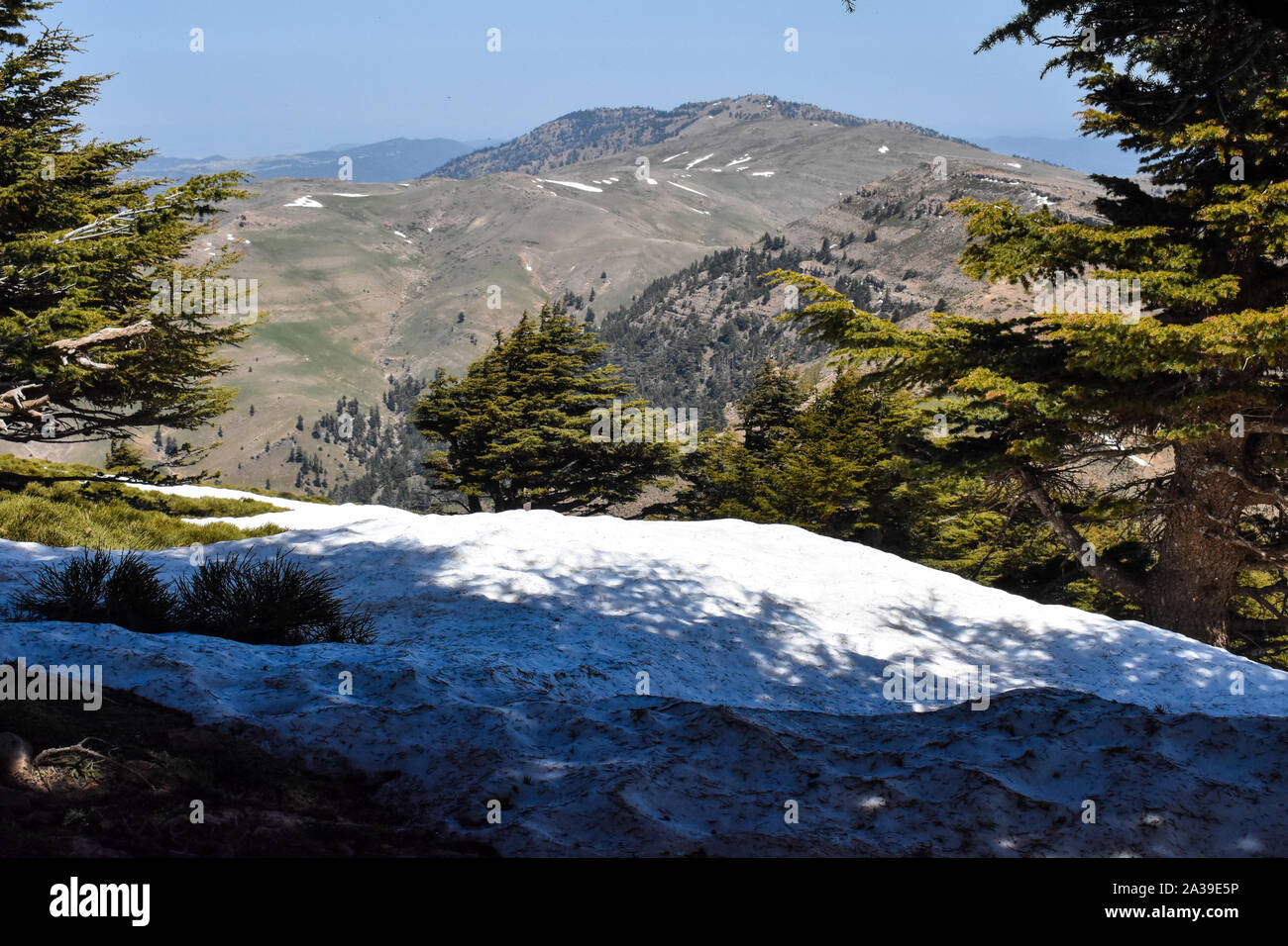 Chelia national park hi-res stock photography and images - Alamy