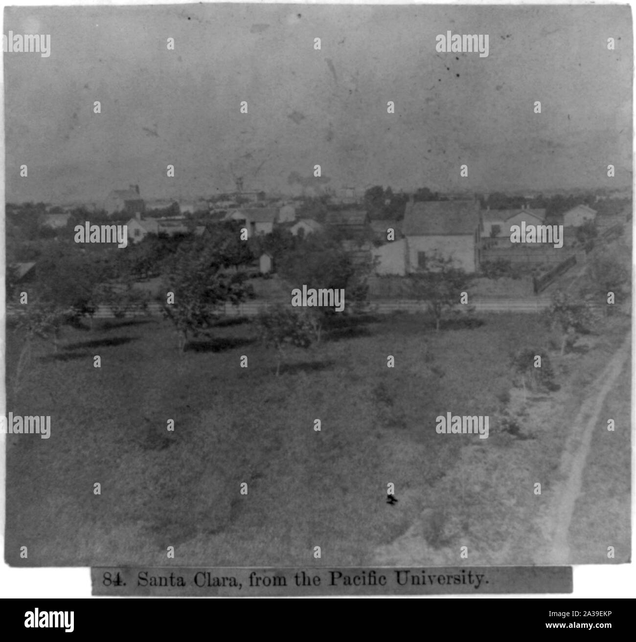 University imagery Black and White Stock Photos & Images - Alamy