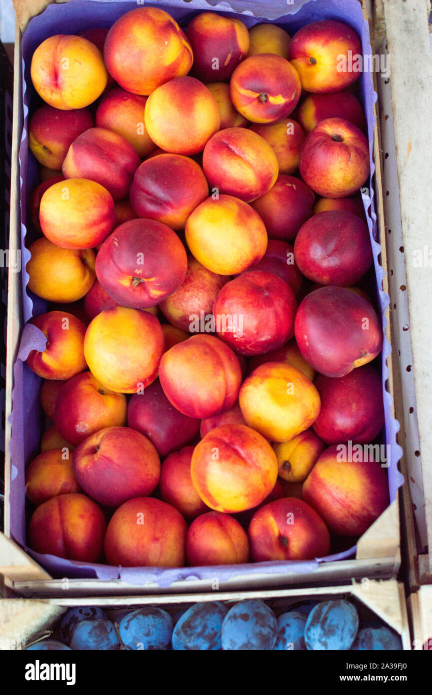 Fruit trichomes hi-res stock photography and images - Alamy