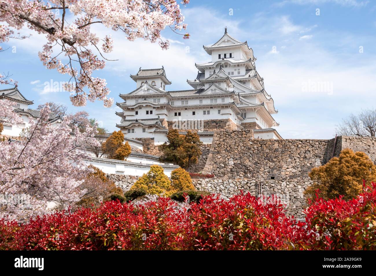 Blossoming cherry trees, Japanese cherry blossom, Himeji Castle, Himeji ...