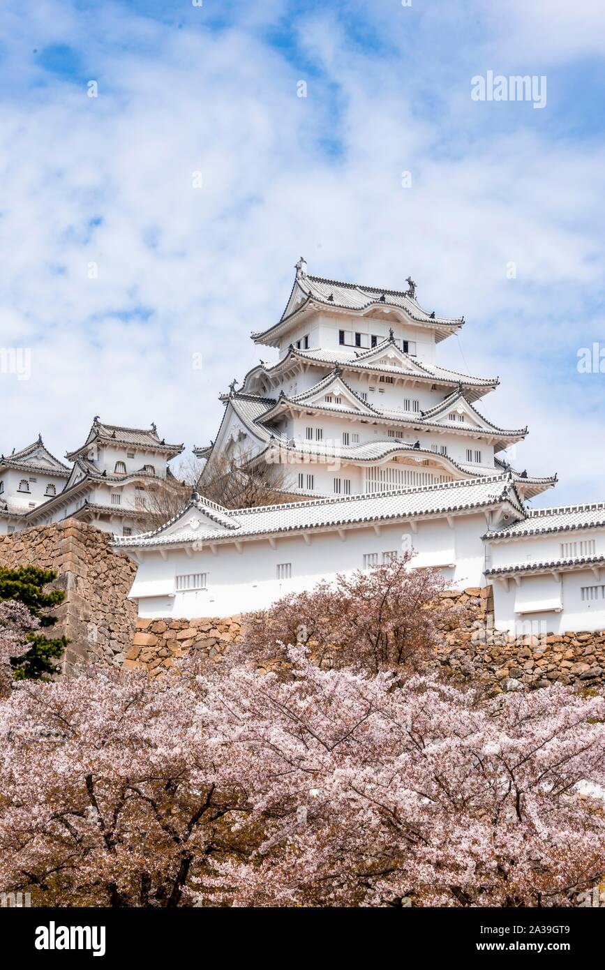 Blossoming cherry trees, Japanese cherry blossom, Himeji Castle, Himeji ...