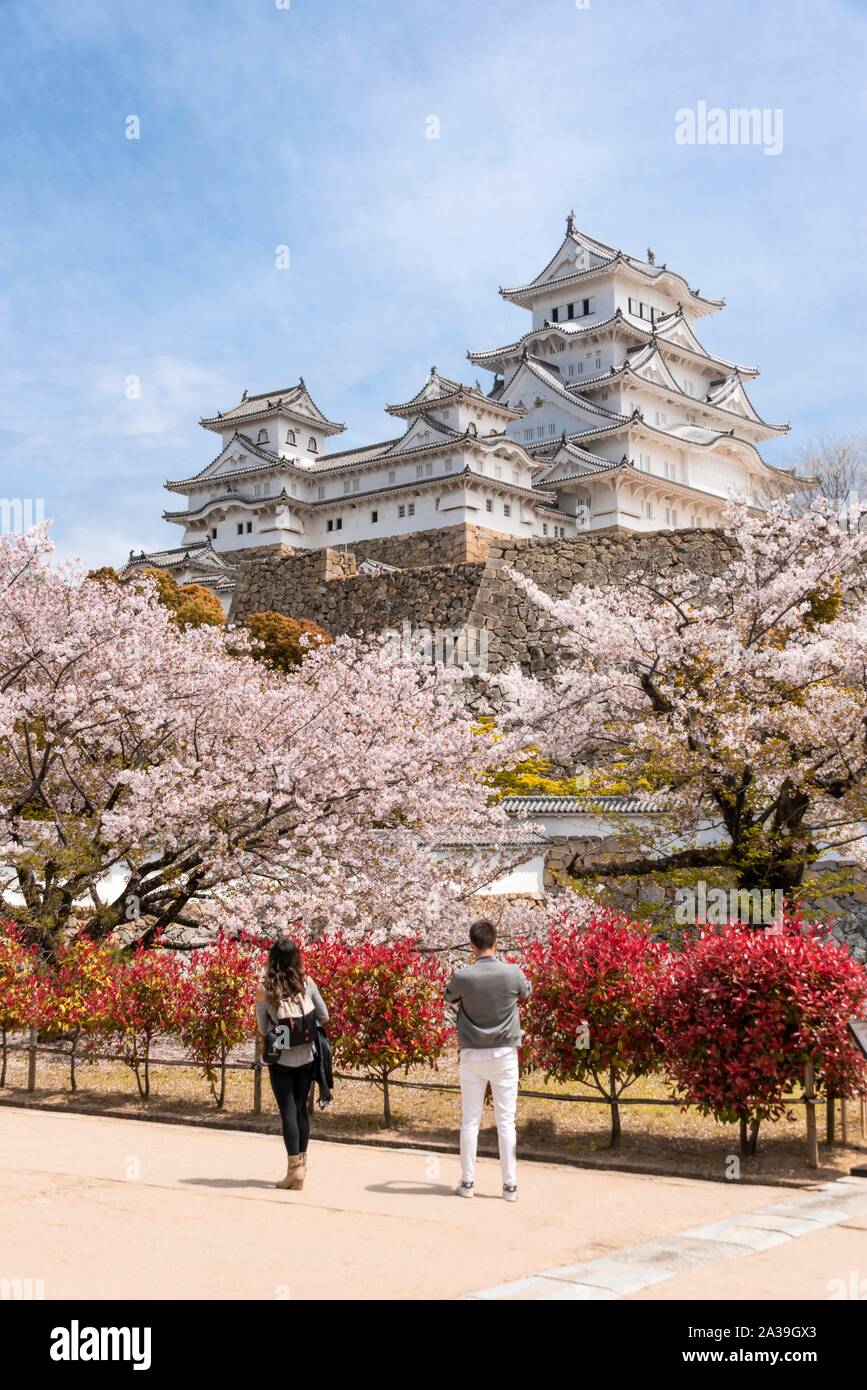 Blossoming cherry trees, Japanese cherry blossom, Himeji Castle, Himeji ...