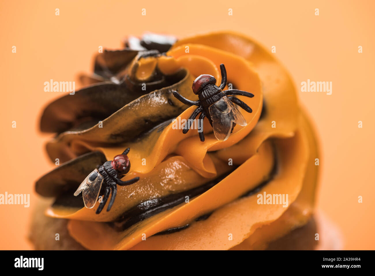 Flies on food studio hi-res stock photography and images - Alamy