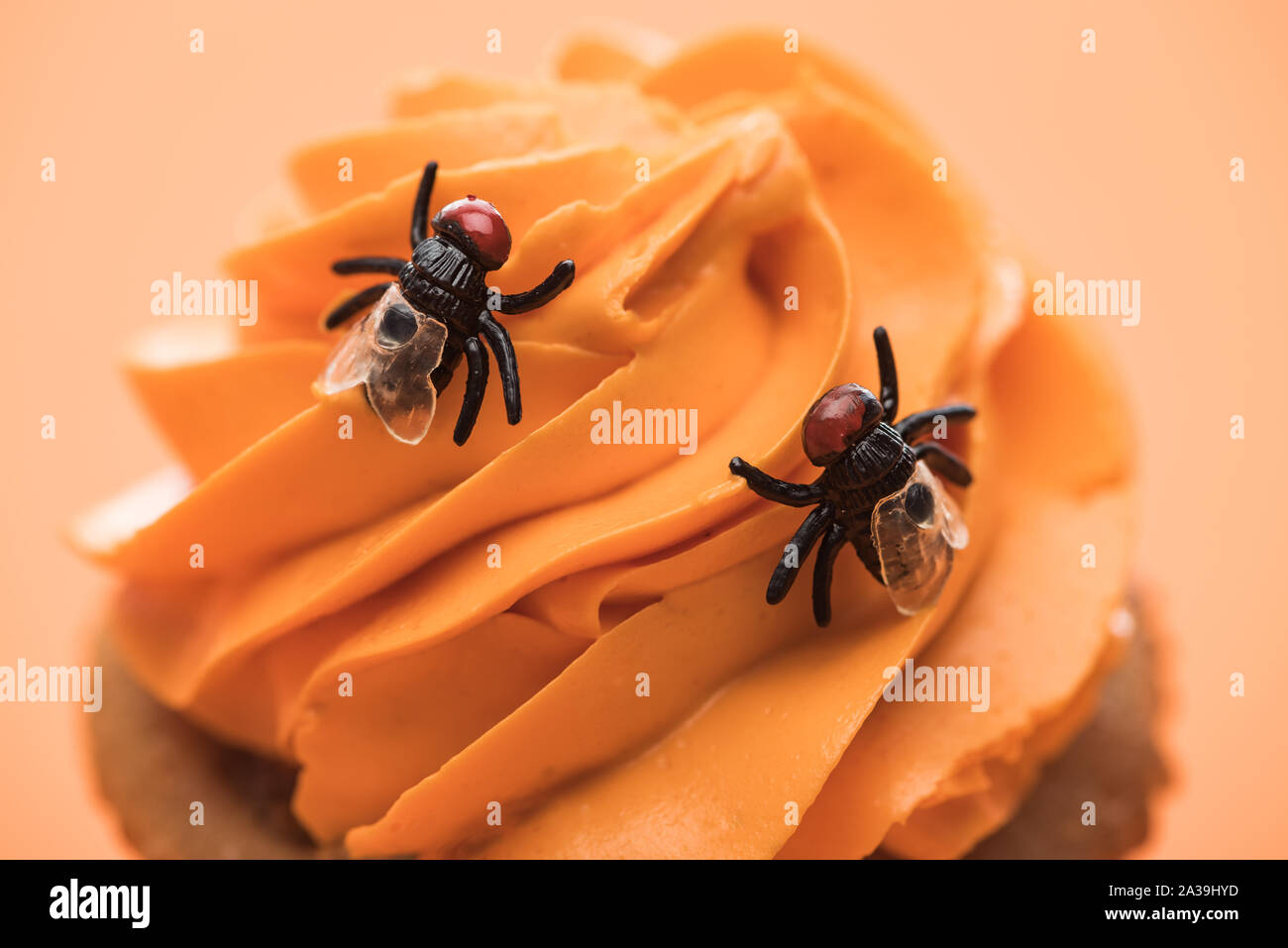 Flies on food studio hi-res stock photography and images - Alamy