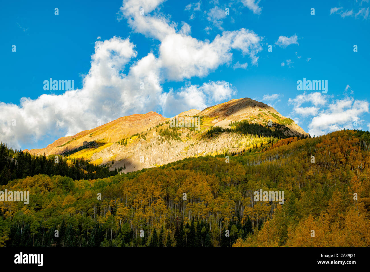 Steamboat colorado fall autumn hi-res stock photography and images - Alamy