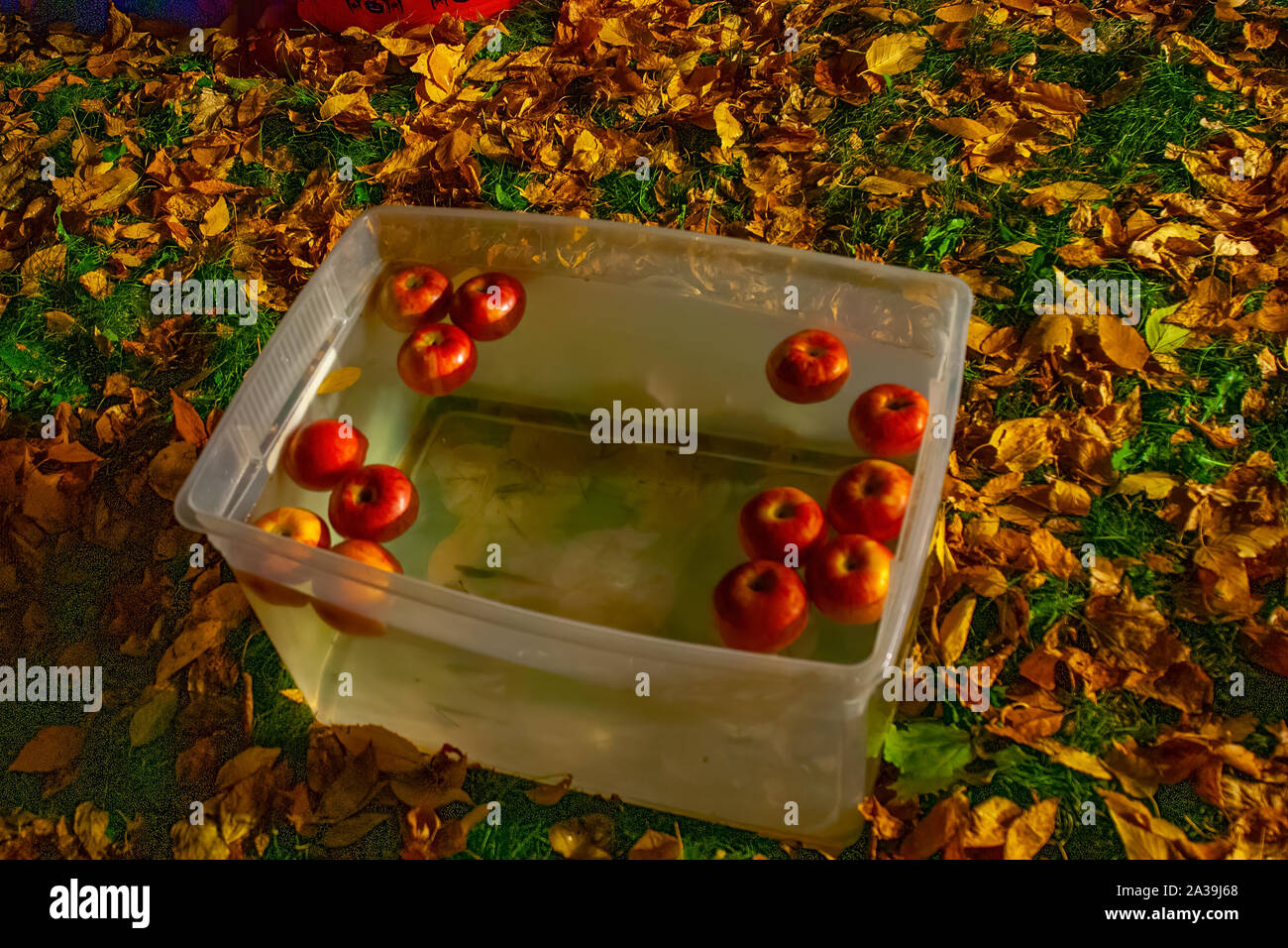 Bobbing For Apples Halloween High Resolution Stock Photography and ...